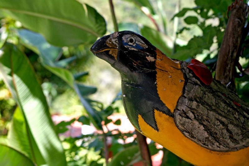 CABAÑAS TREBOL DE PIEDRA - Turismo en Mérida, Venezuela | Venaventours