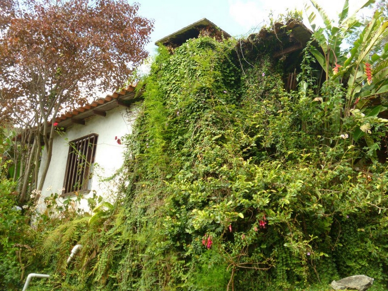 CABAÑAS TREBOL DE PIEDRA - Turismo en Mérida, Venezuela | Venaventours